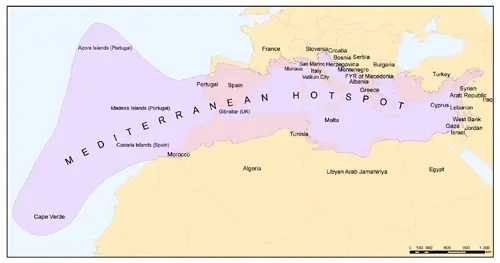 CEPF Mediterranean Basin Hotspot Program | Hatch at BirdLife
