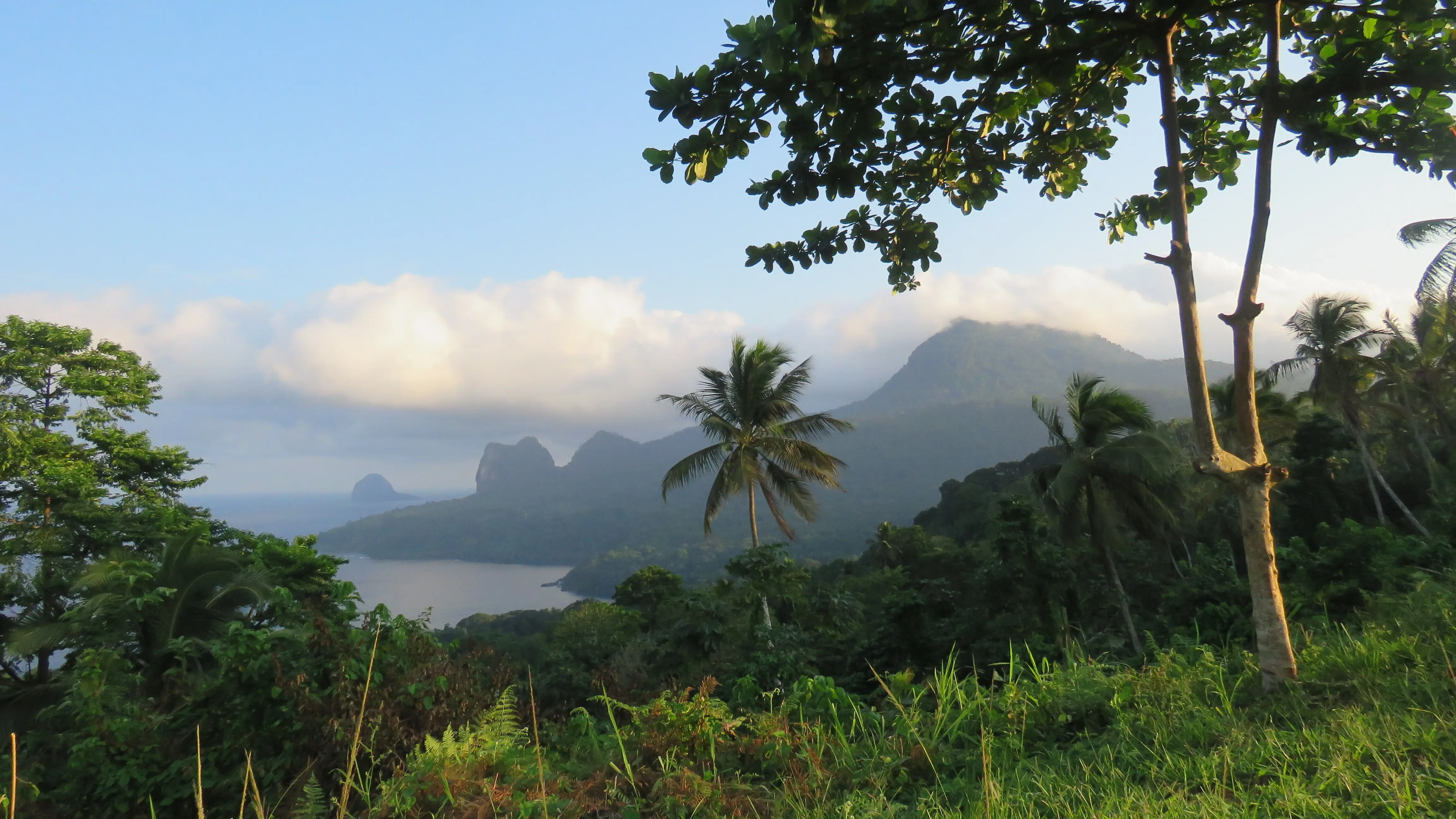 Regional Re-granting Programmes | Hatch at BirdLife